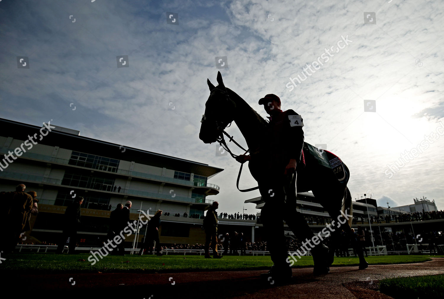 Horses Parade Ring During Showcase Meeting Editorial Stock Photo ...