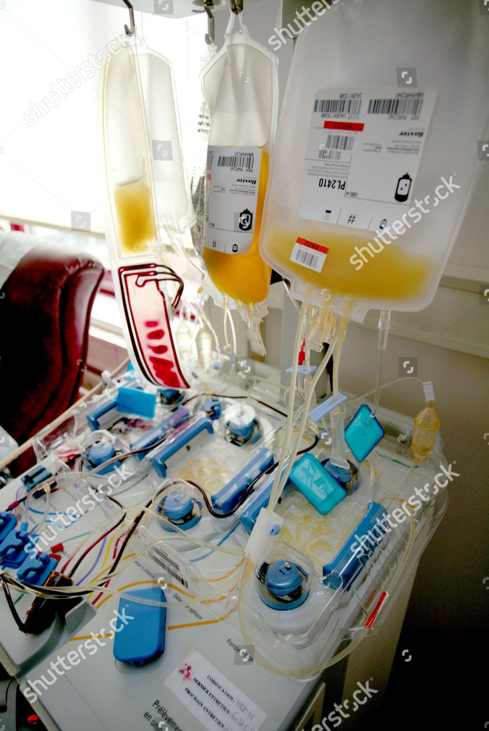 Blood Products Plasma Platelets Red Blood Editorial Stock Photo - Stock ...