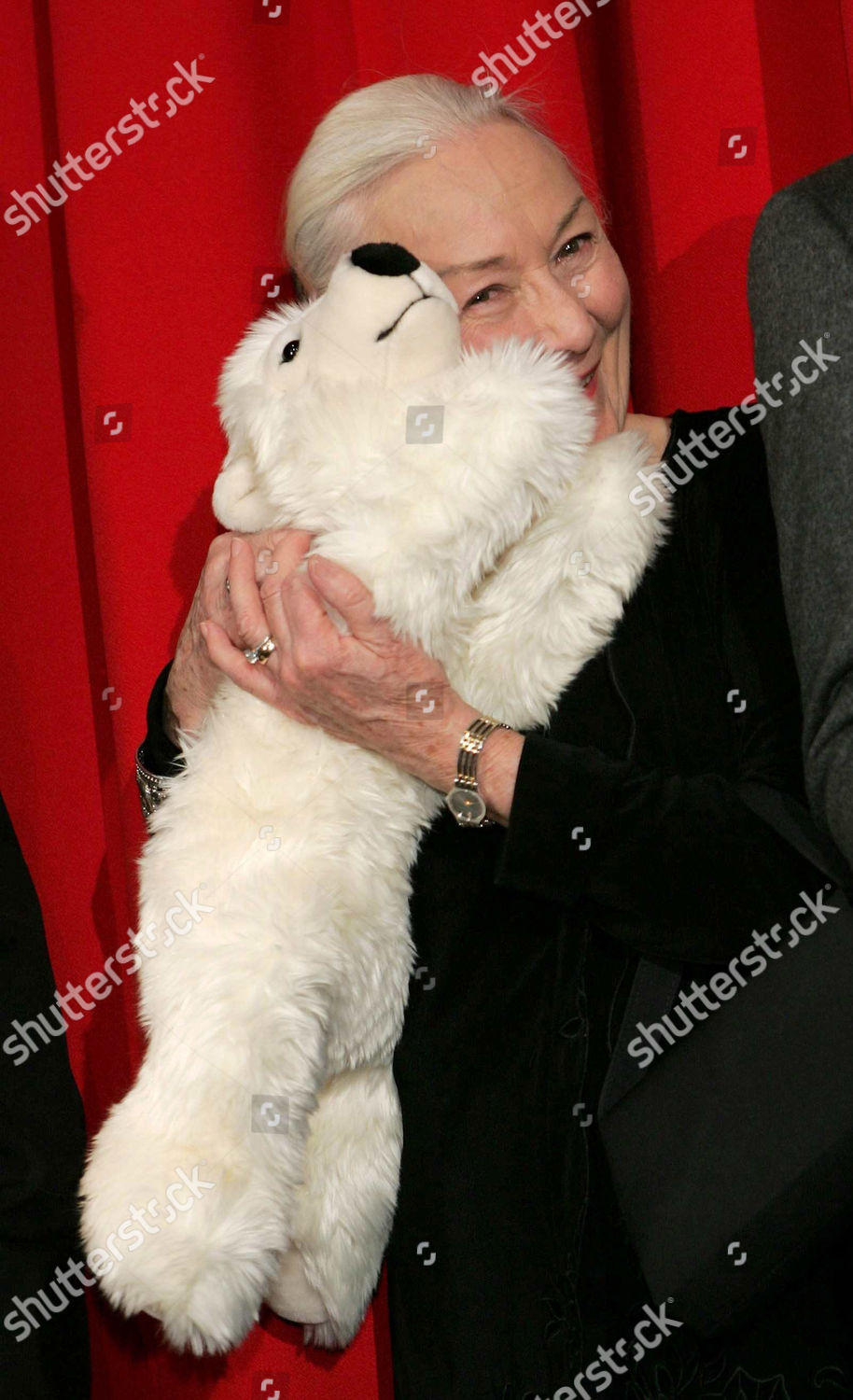 Rosemary Harris Cuddley Toy Knut Polar Editorial Stock Photo - Stock ...