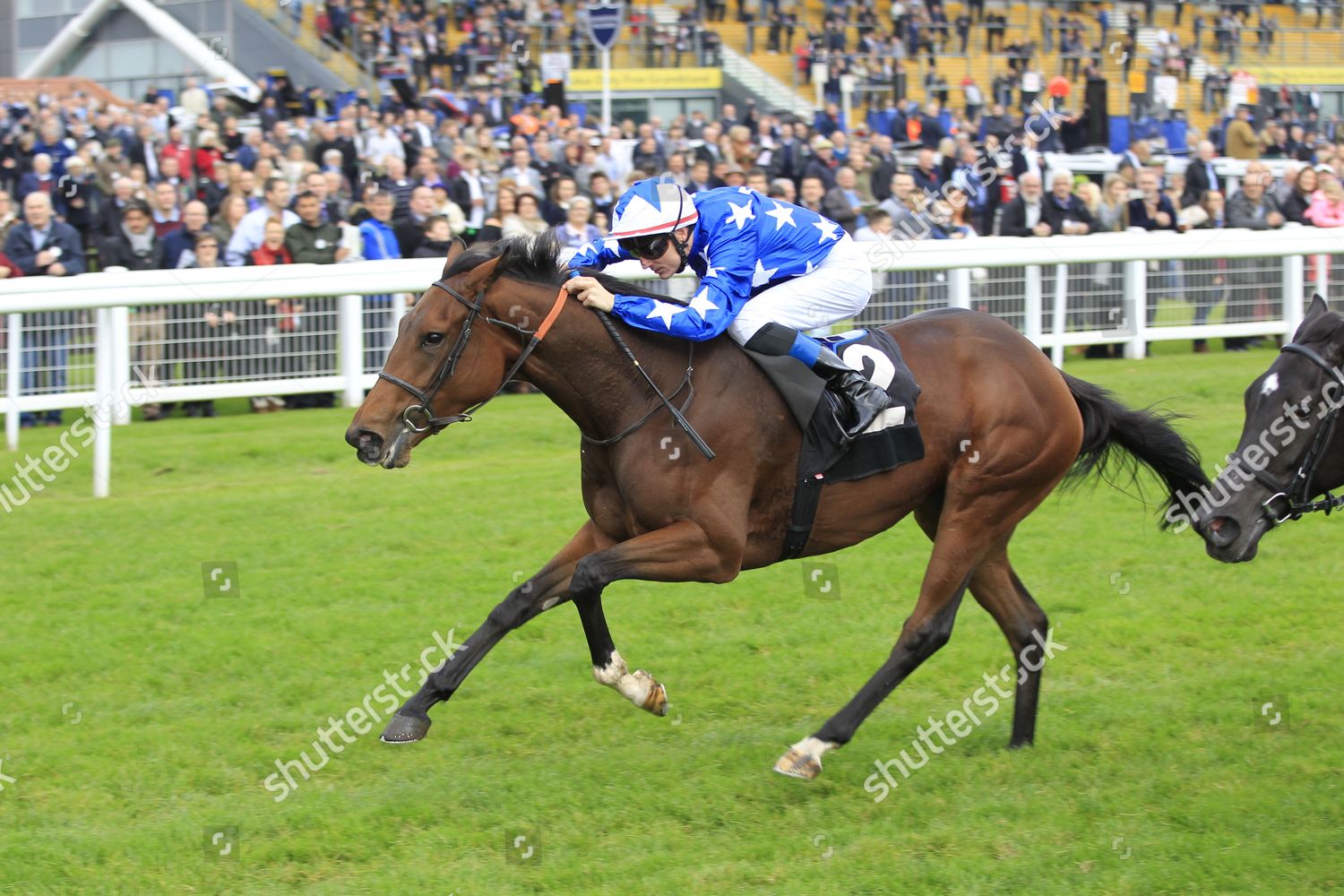 Crimson Rock Fran Berry Win Conundrum Editorial Stock Photo - Stock ...