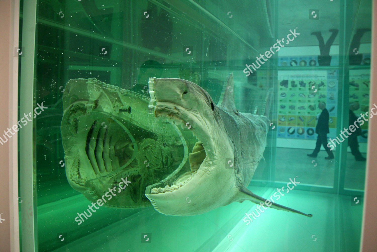 Damien Hirsts Death Explained Sculpture Editorial Stock Photo - Stock ...