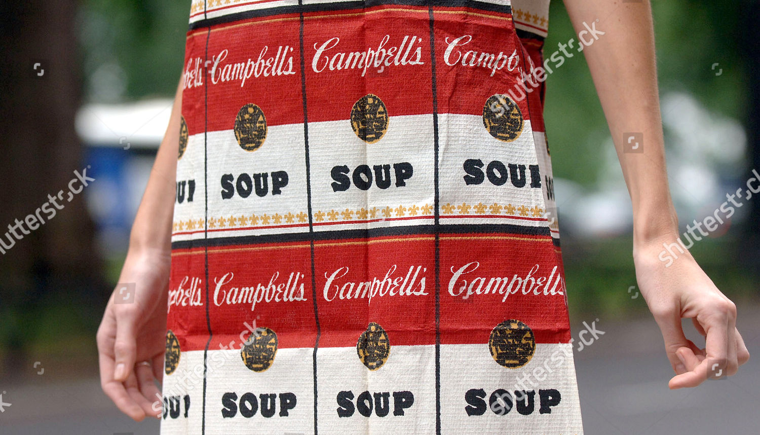 Anna Buckley Models Andy Warhol Souper Editorial Stock Photo - Stock ...
