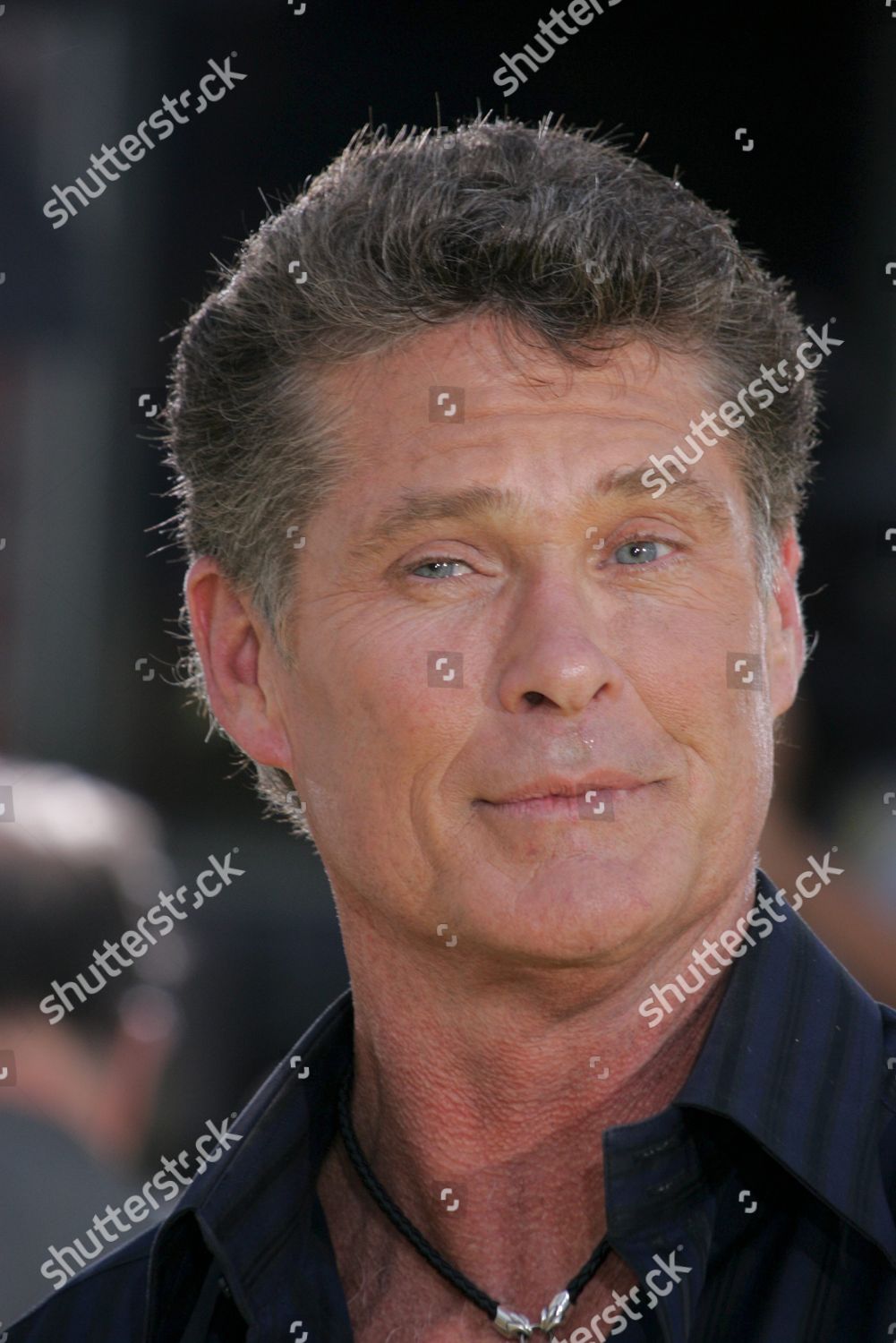 David Hasselhoff Editorial Stock Photo - Stock Image | Shutterstock