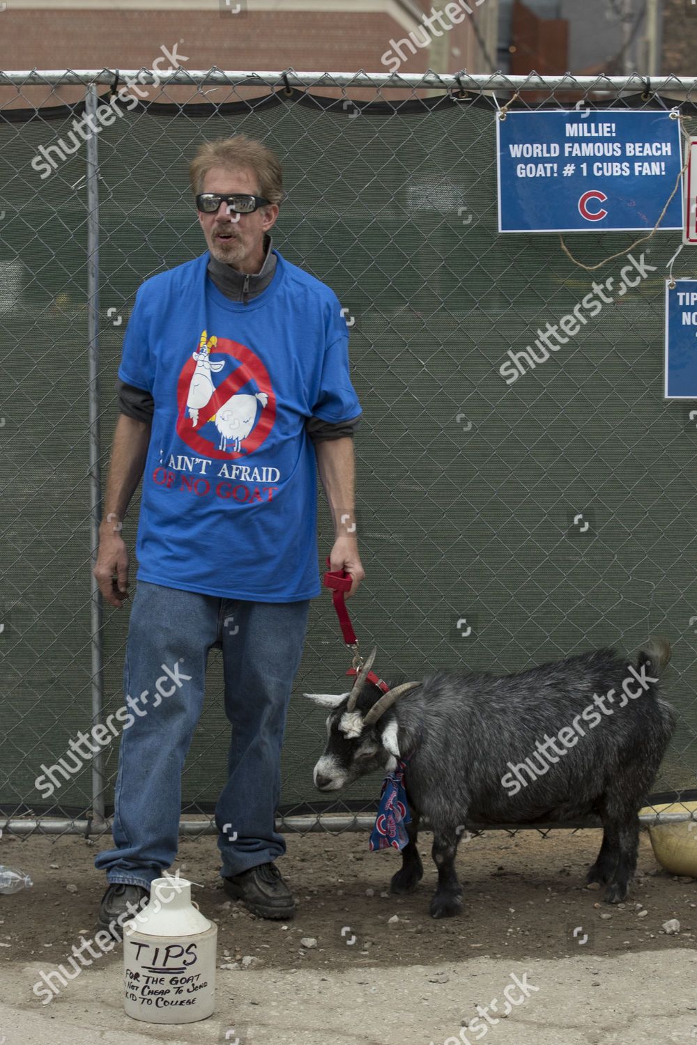 Chicago Illinois Us Fan Brings Goat Editorial Stock Photo - Stock Image ...