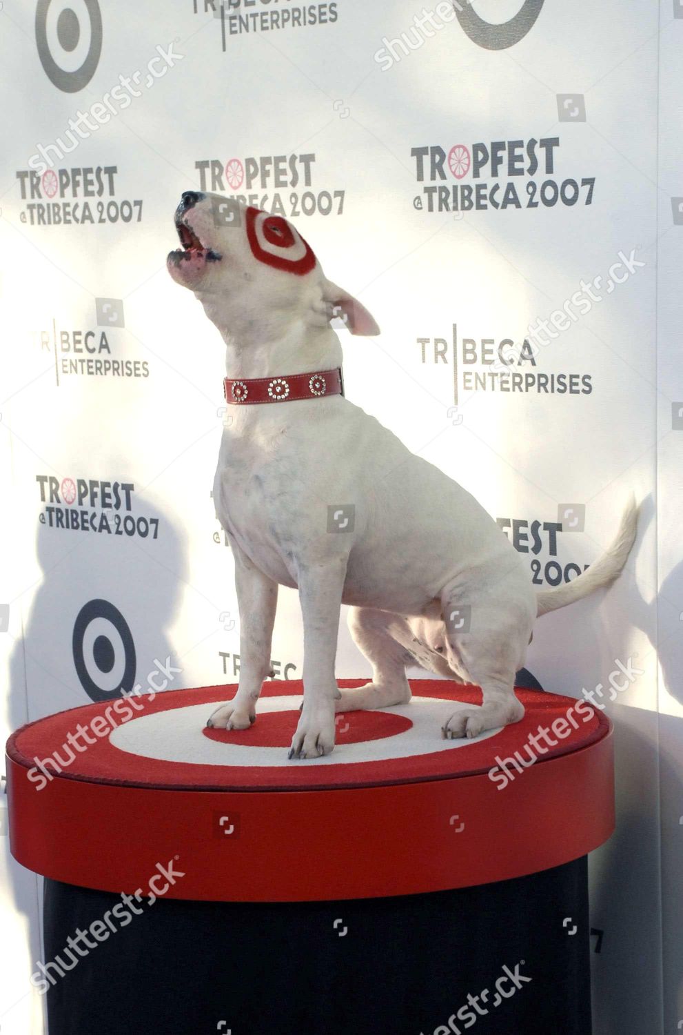 Bullseye Target Dog Editorial Stock Photo - Stock Image | Shutterstock