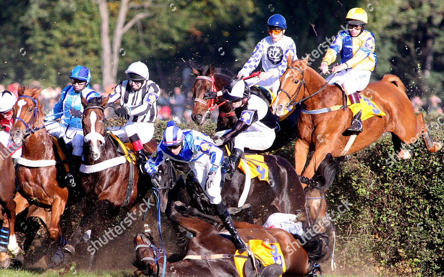 Horses Jump Taxis Ditch During 117th Editorial Stock Photo - Stock ...