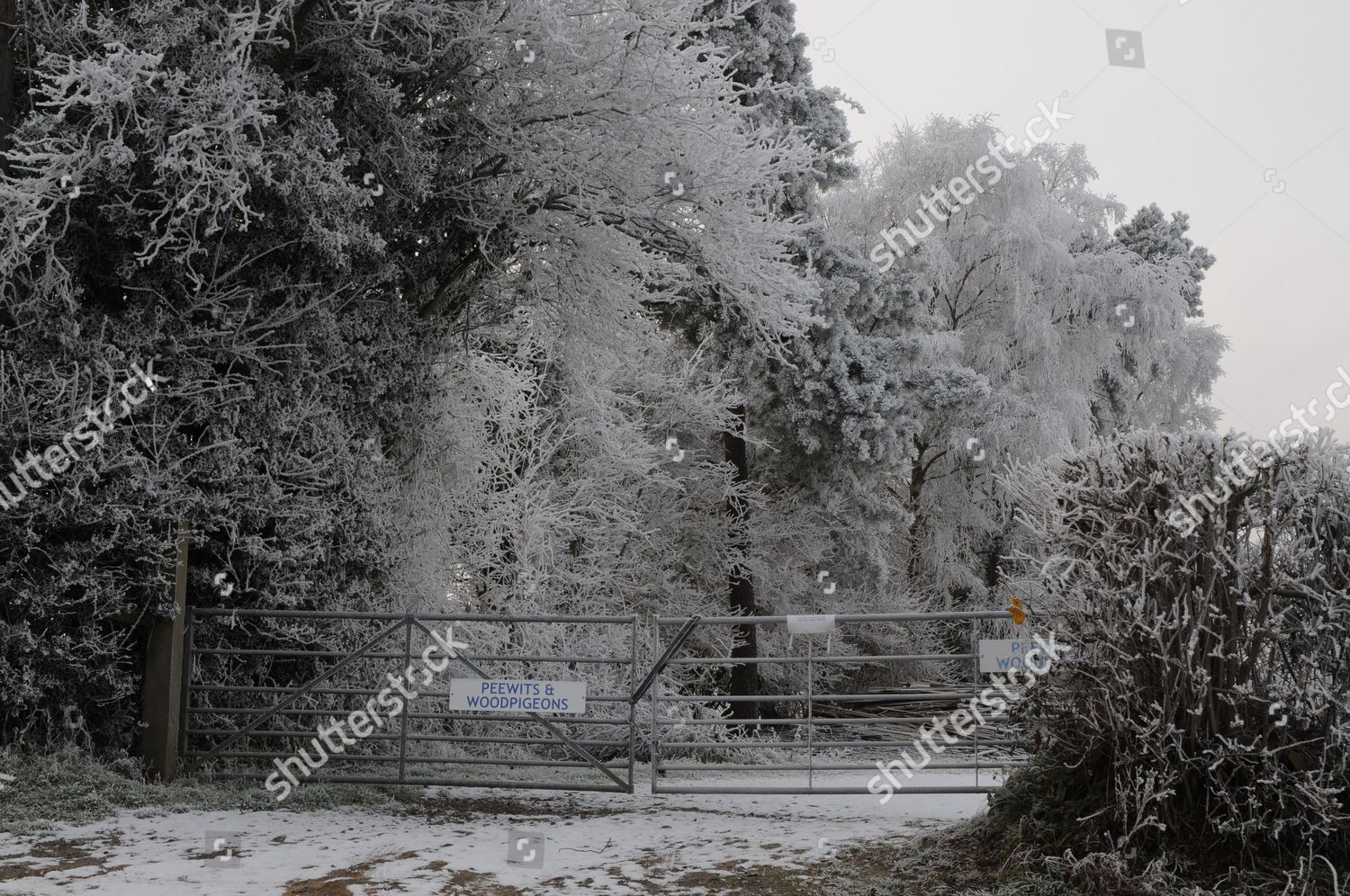 Big Freeze Sub Zero Temperatures Across Editorial Stock Photo - Stock ...