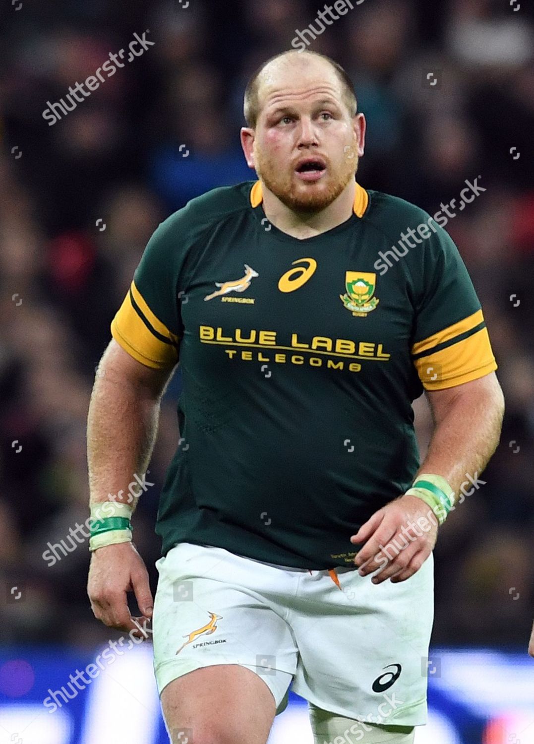 South Africas Lourens Adriaanse Rugby Union Editorial Stock Photo ...