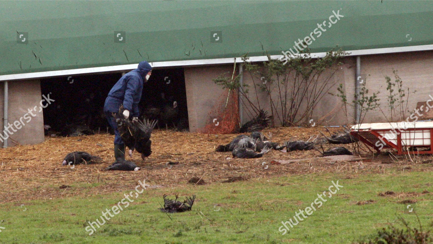Defra Official Redgrave Park Farm Picks Editorial Stock Photo - Stock ...