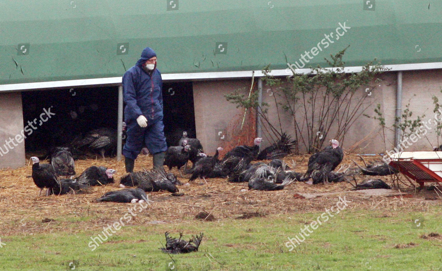 Defra Official Redgrave Park Farm Editorial Stock Photo - Stock Image ...