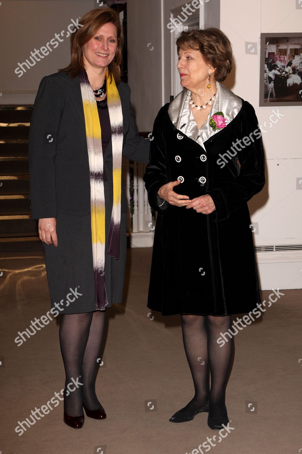 Sarah Brown Baroness Nicholson Editorial Stock Photo - Stock Image ...