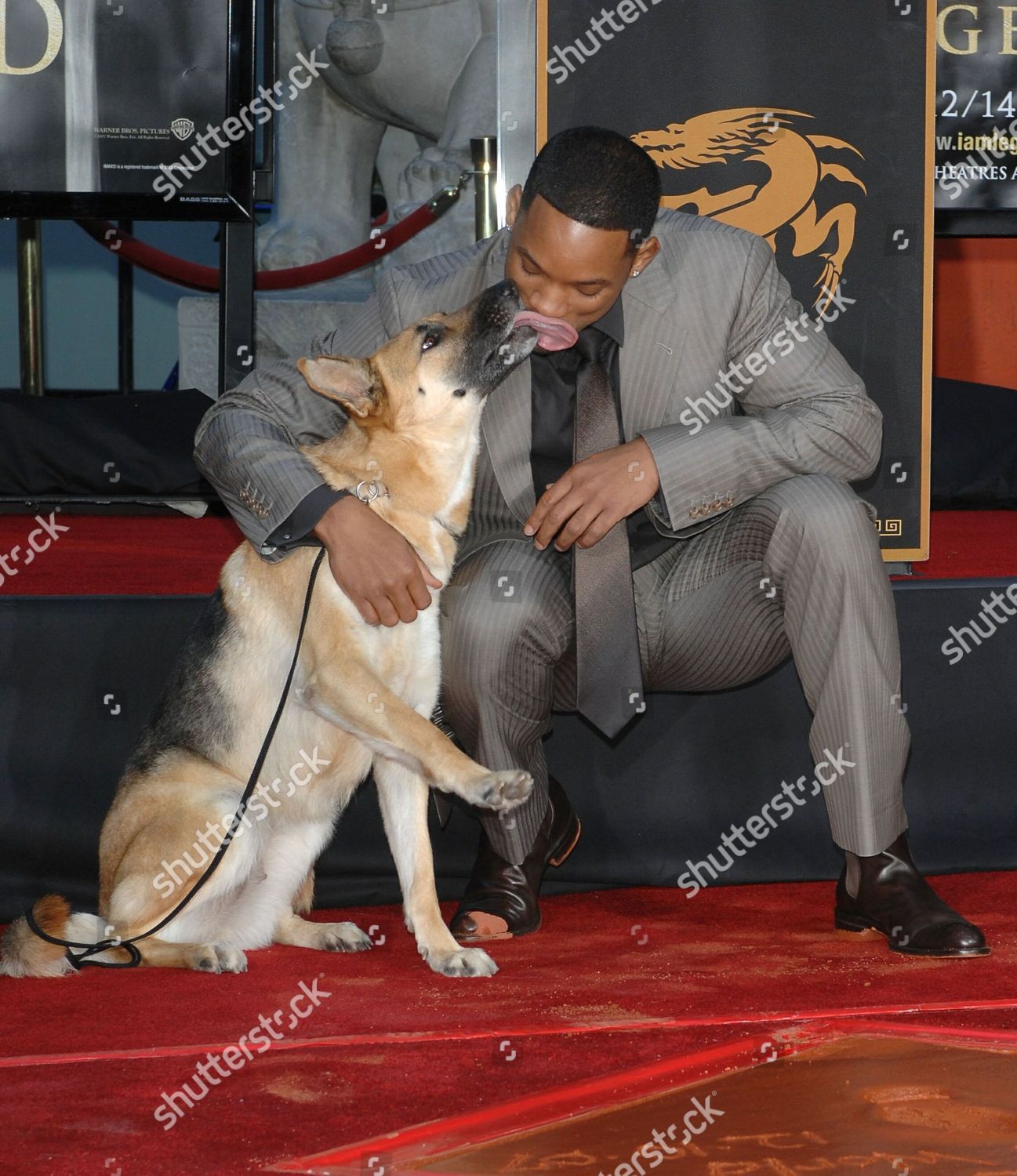 Will Smith Dog Abby Movie Legend Editorial Stock Photo - Stock Image ...