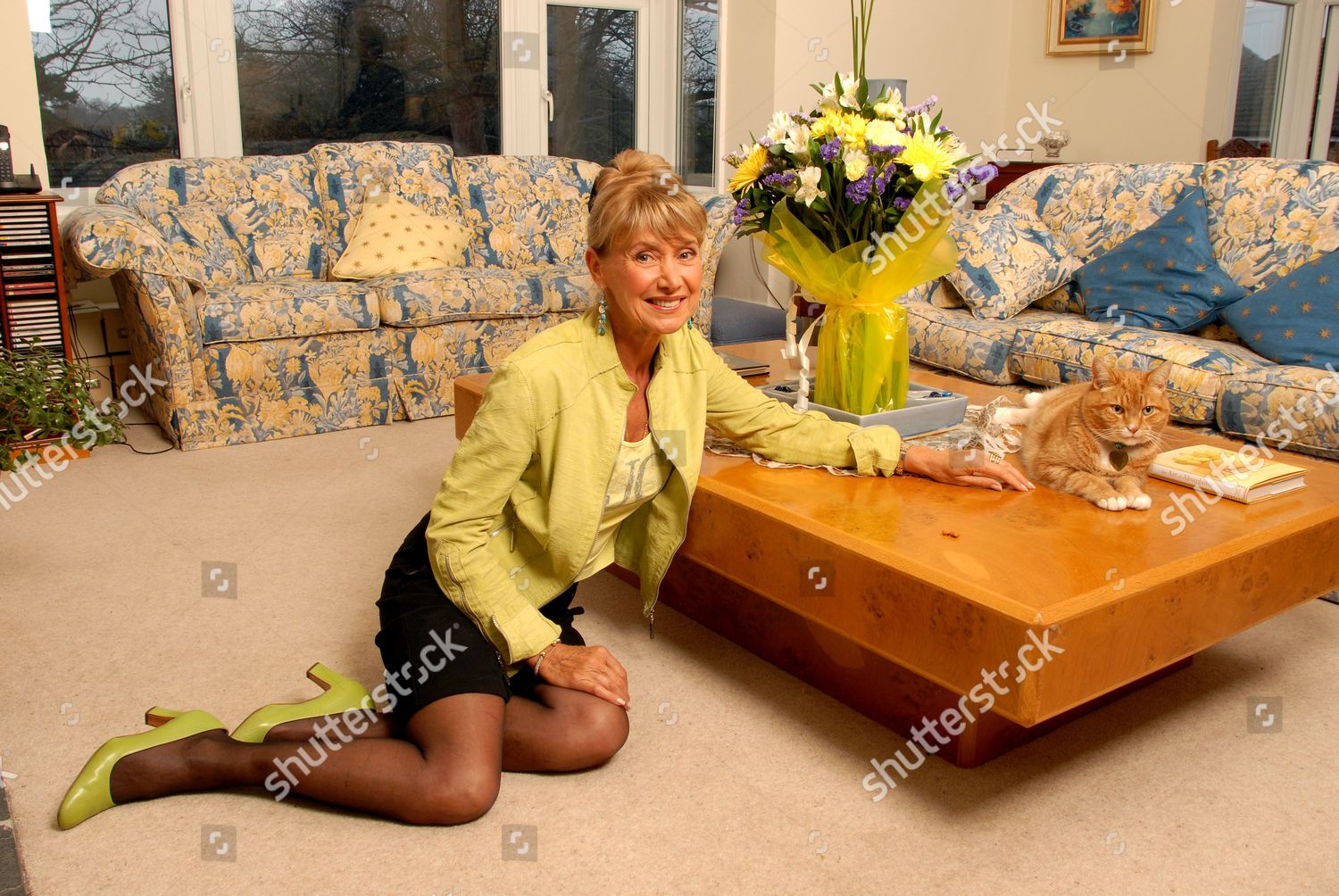 Jan Leeming Home Editorial Stock Photo - Stock Image | Shutterstock