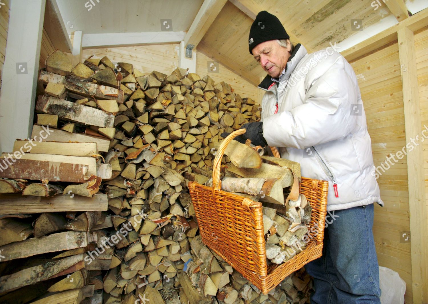 Model Released Man Fetching Logs Wood Editorial Stock Photo - Stock ...