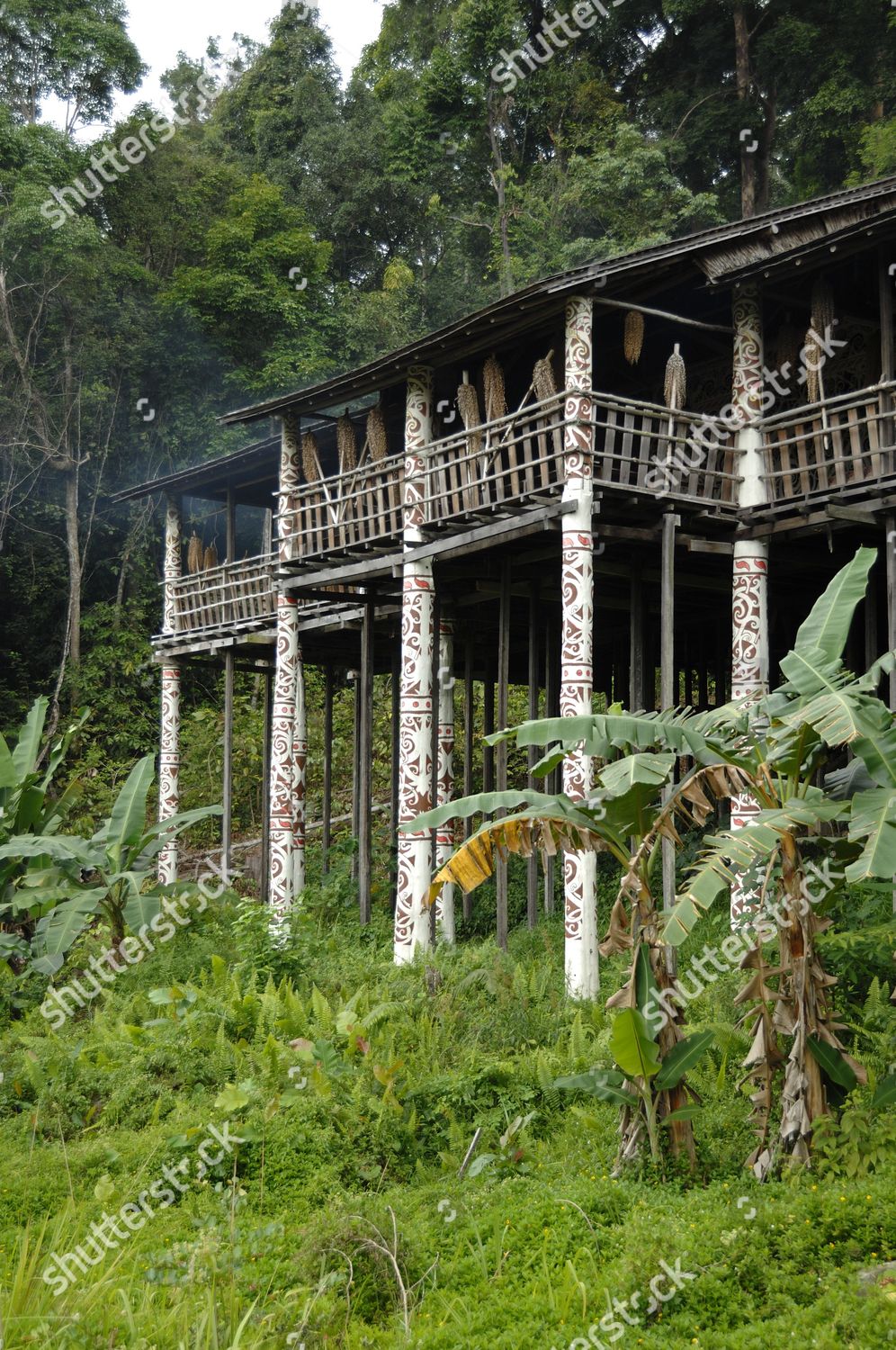 Orang Ulu Longhouse Communal Dwelling Decorated Editorial Stock Photo ...
