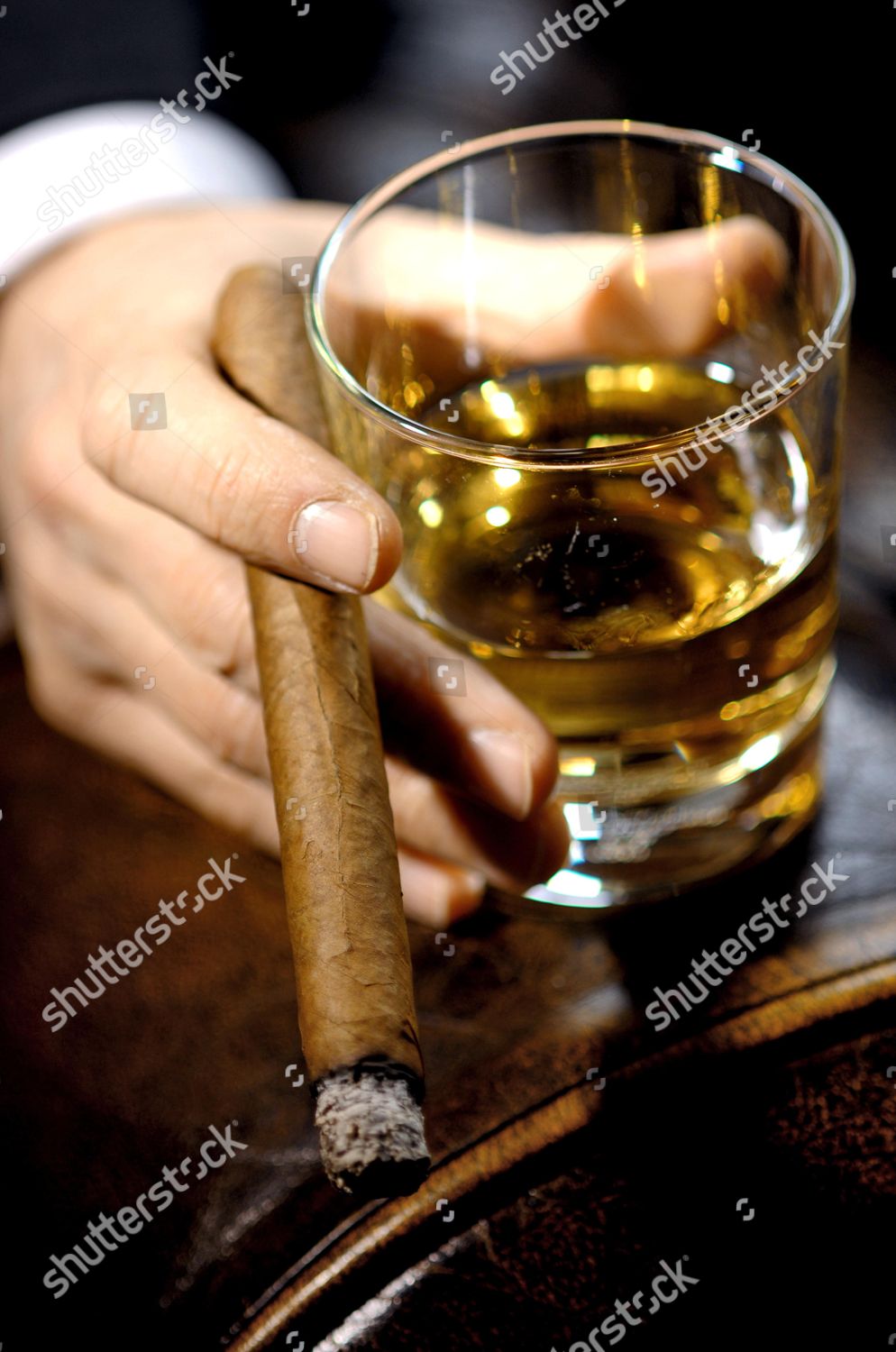 Model Released Aristocrat Smoking Cigar While Editorial Stock Photo ...