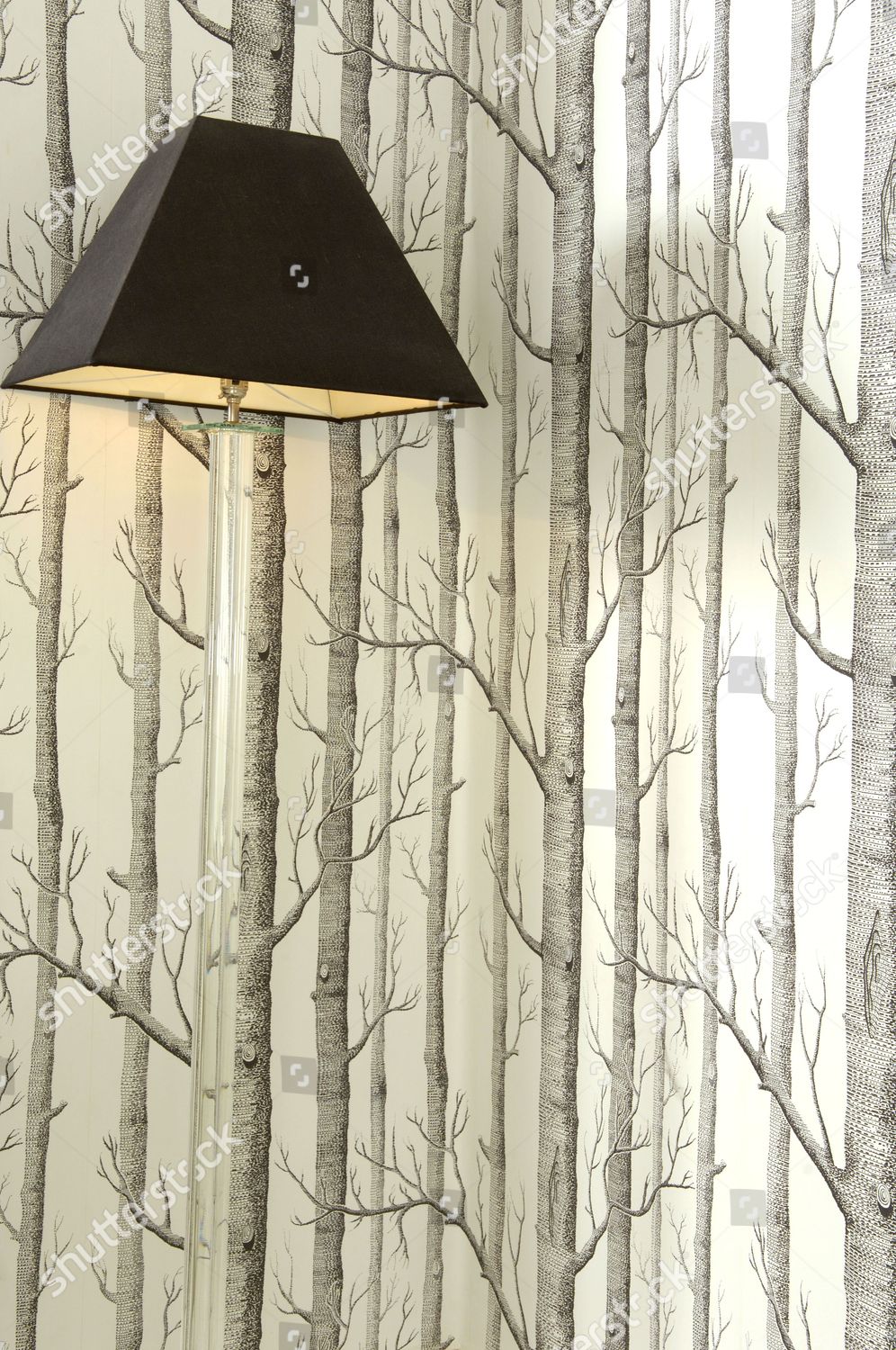 Unusual Tree Branch Wallpaper Alcoves Sitting Editorial Stock Photo ...