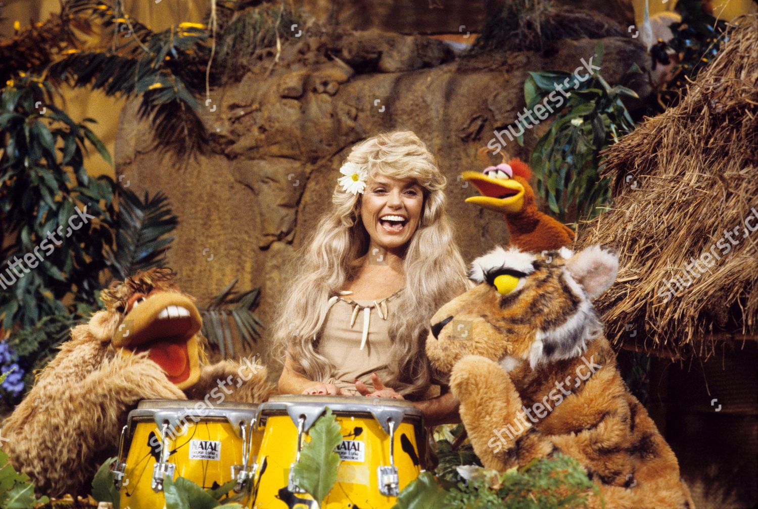 Dyan Cannon On Muppet Show Editorial Stock Photo - Stock Image ...