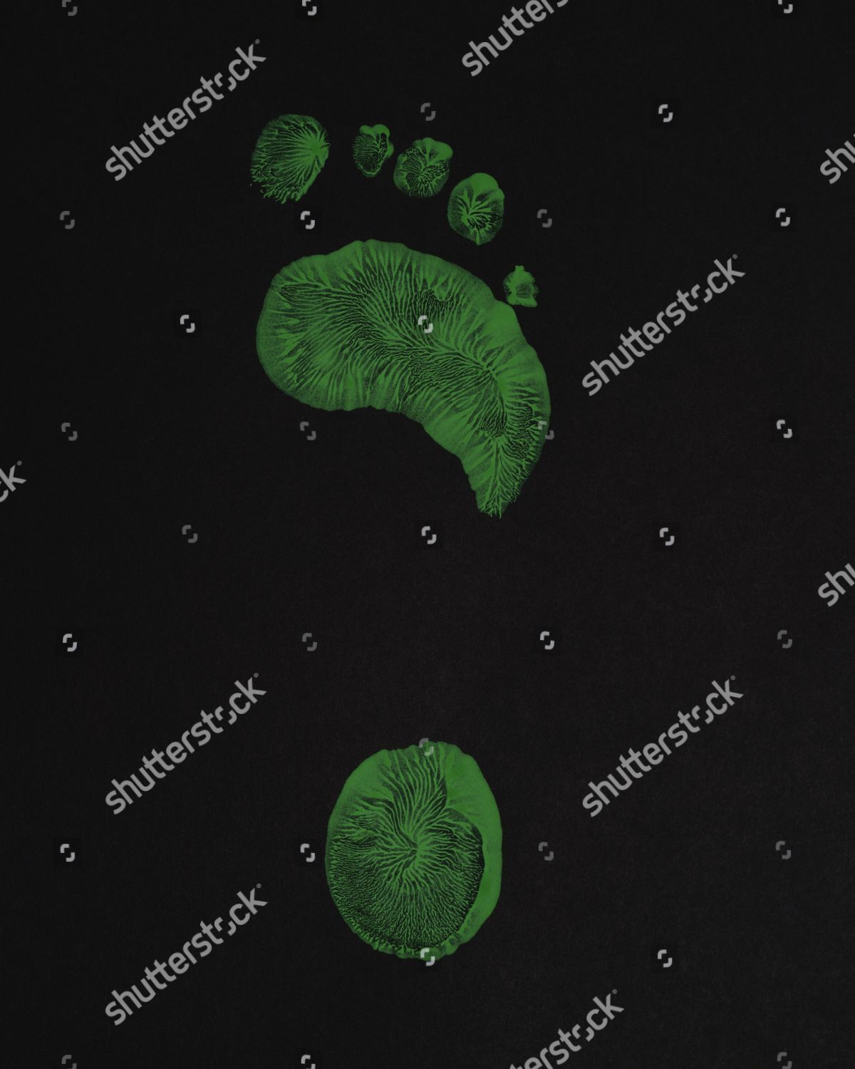 Carbon Footprint Green Paint Footprint On Editorial Stock Photo - Stock ...