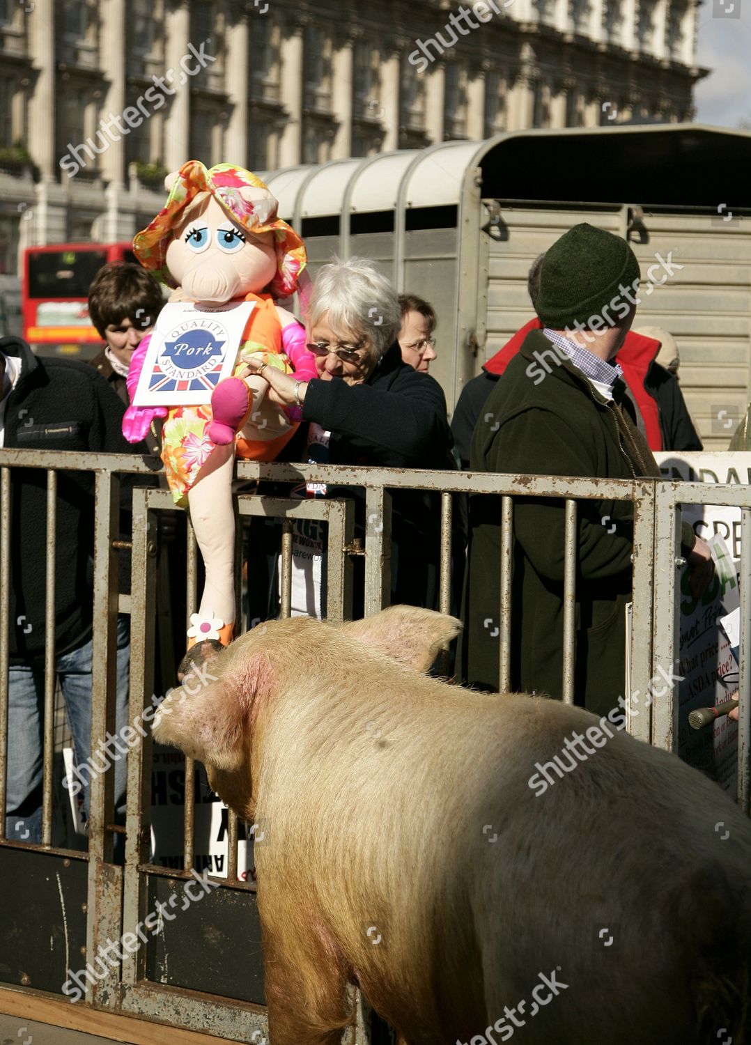Winnie Pig Meets Miss Piggy Editorial Stock Photo - Stock Image ...
