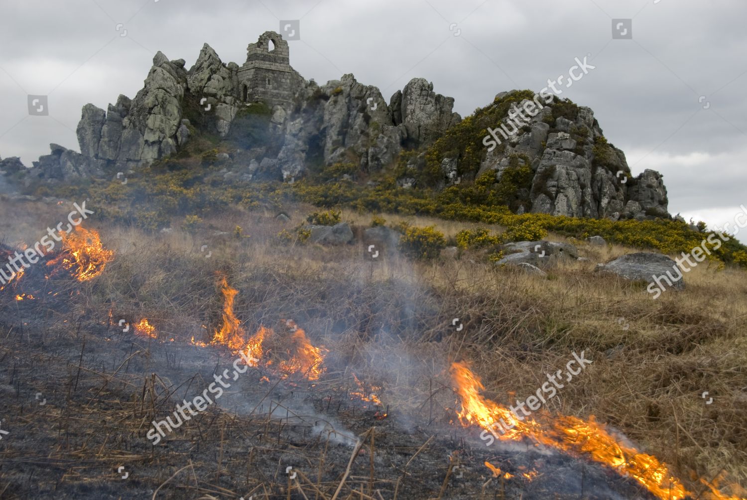 Gorse Fire Editorial Stock Photo - Stock Image | Shutterstock