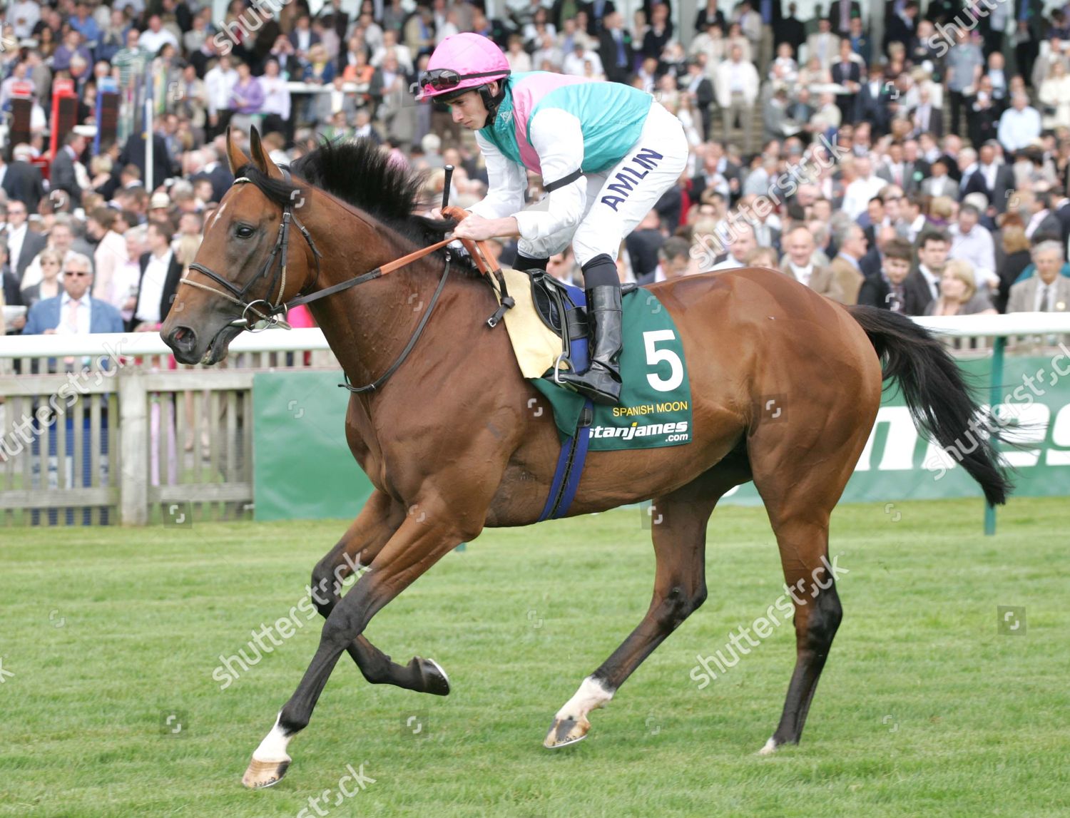 02052009 Newmarket Horse Racing Michael Stoute Editorial Stock Photo ...