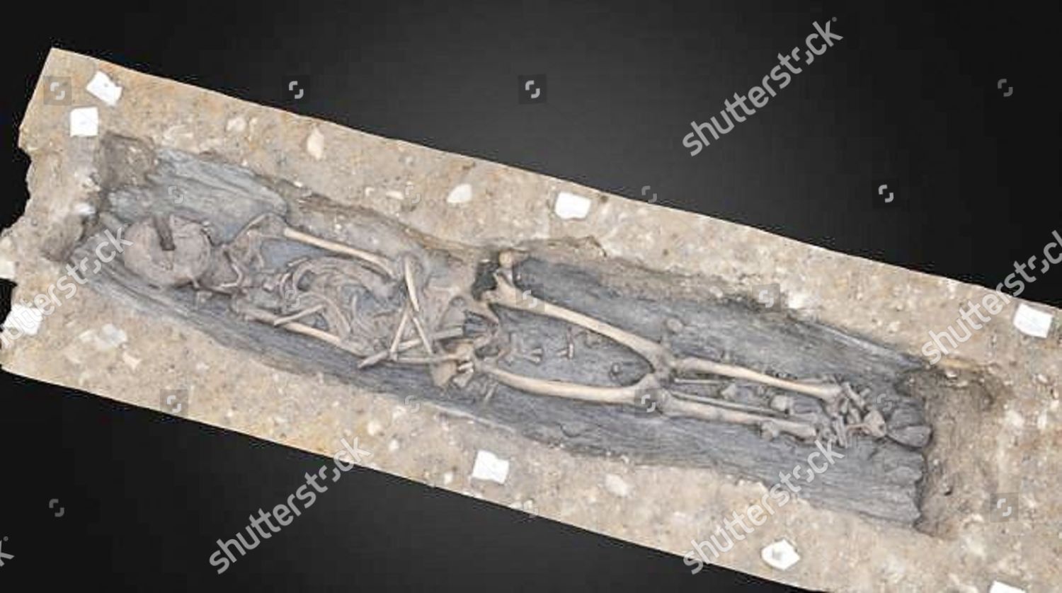 3d Photogrammetry Model Human Skeleton Coffin Editorial Stock Photo ...