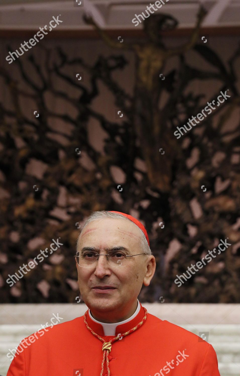Cardinal Mario Zenari Archbishop Zuglio Italy Editorial Stock Photo ...