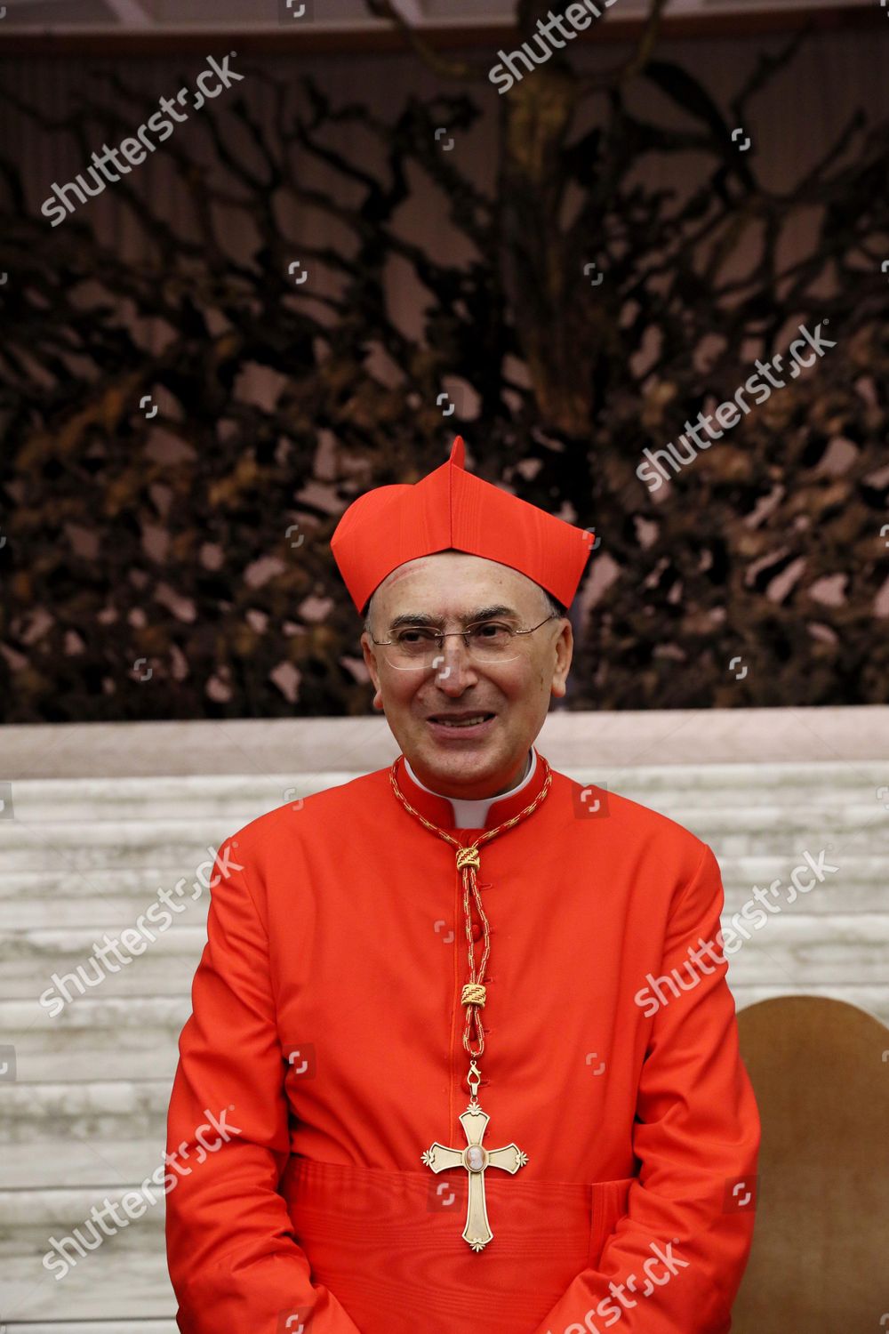 Cardinal Mario Zenari Archbishop Zuglio Italy Editorial Stock Photo ...