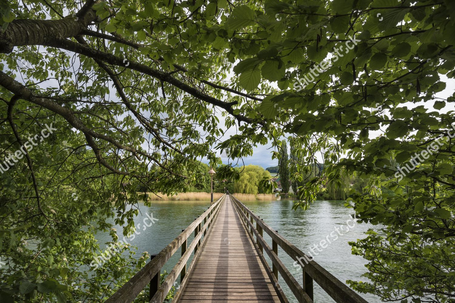 Wooden Bridge Werd Island Across Rhein Editorial Stock Photo - Stock ...