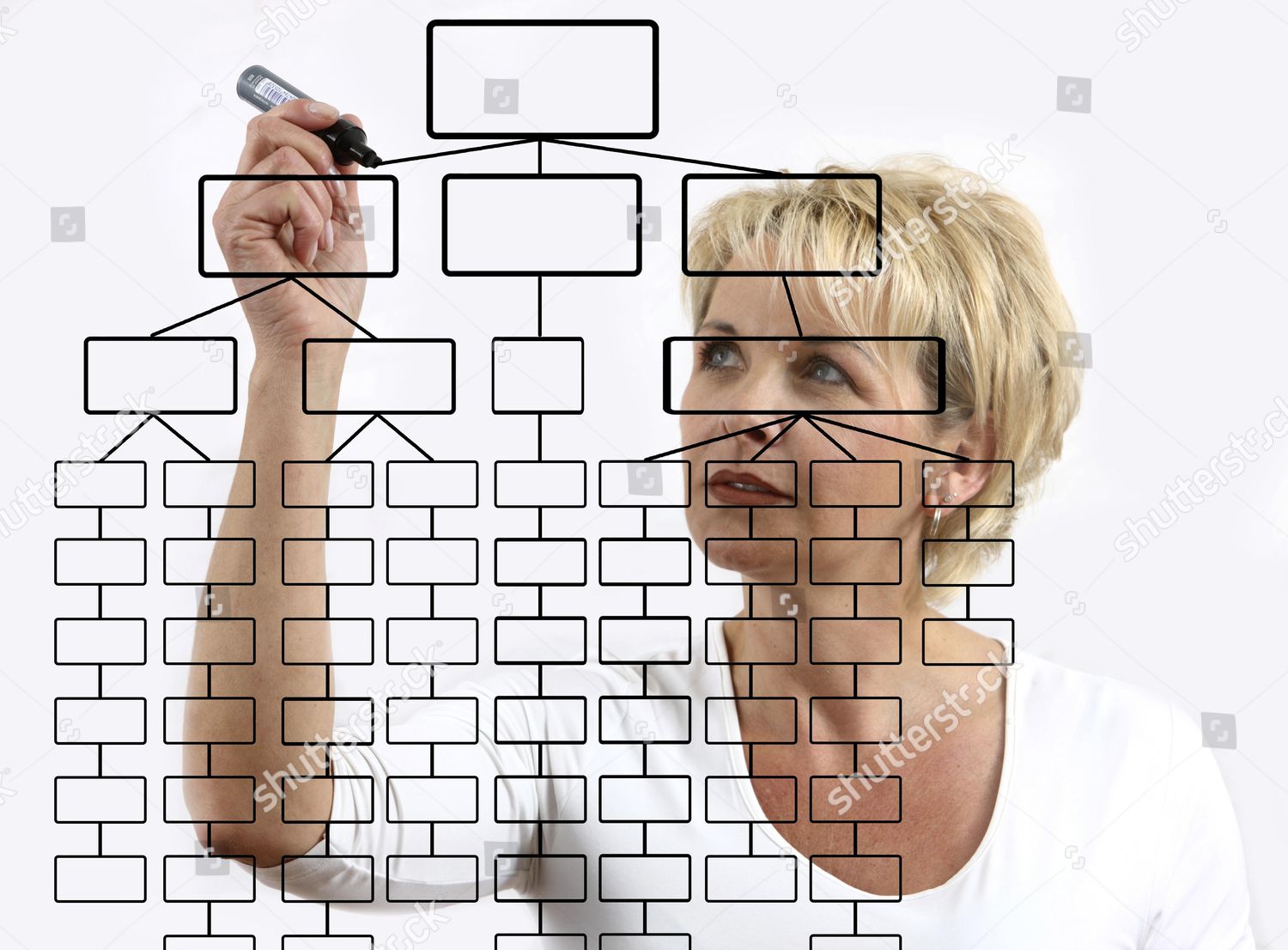 Model Released Woman Drawing Organisational Chart Editorial Stock Photo ...