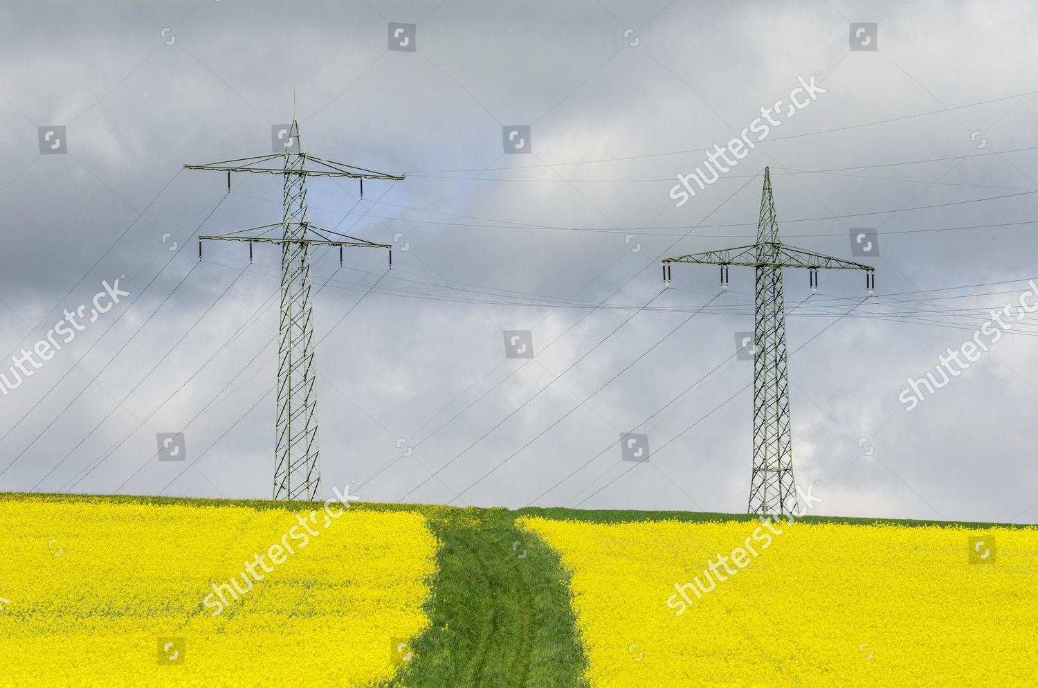 Path Leading Towards Two Power Poles Editorial Stock Photo - Stock ...