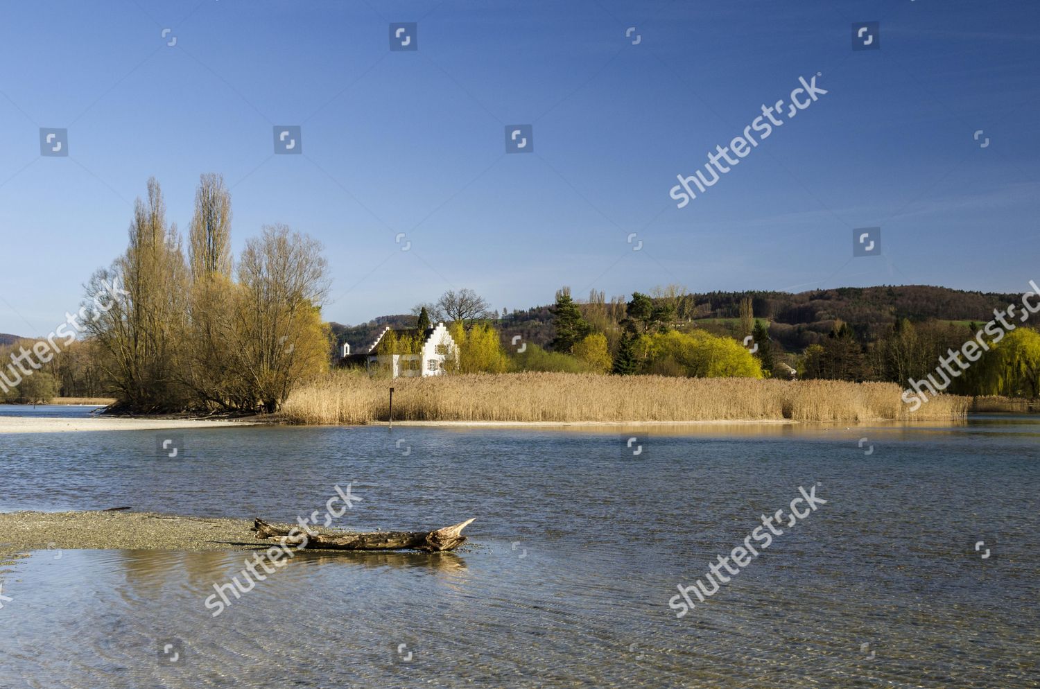 View Towards Werd Island Across Rhine Editorial Stock Photo - Stock ...