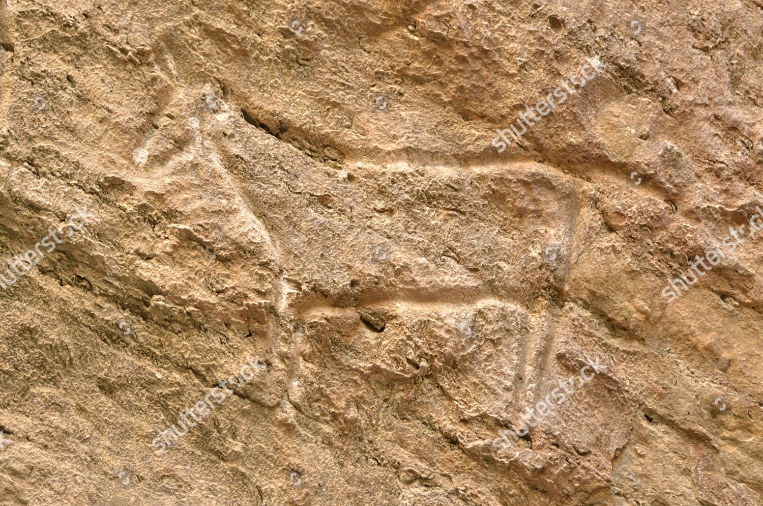 Stone Age Rock Carving Unesco World Editorial Stock Photo - Stock Image ...