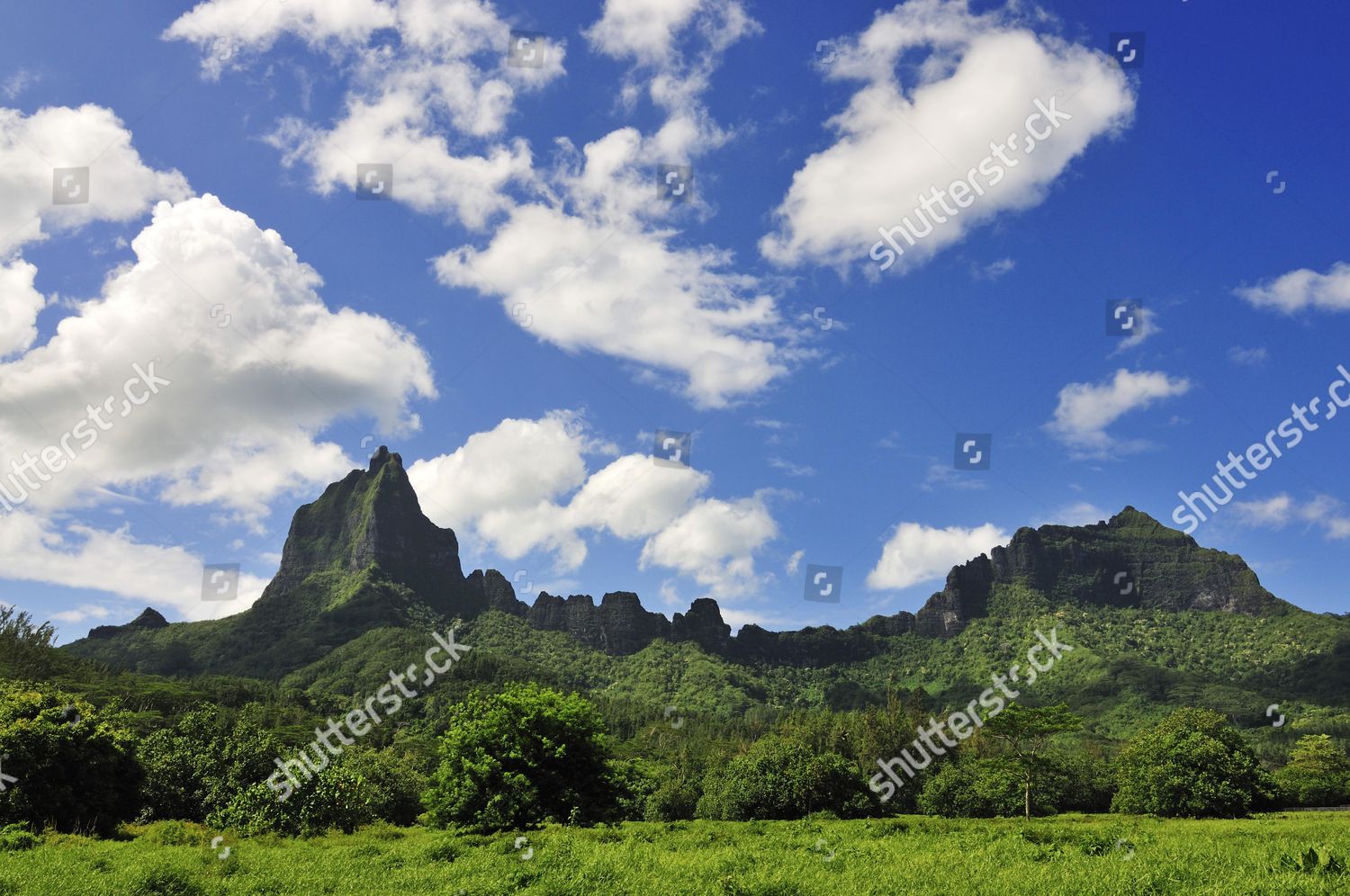 Mount Tohiea Valle De Gauguin Moorea Editorial Stock Photo - Stock ...
