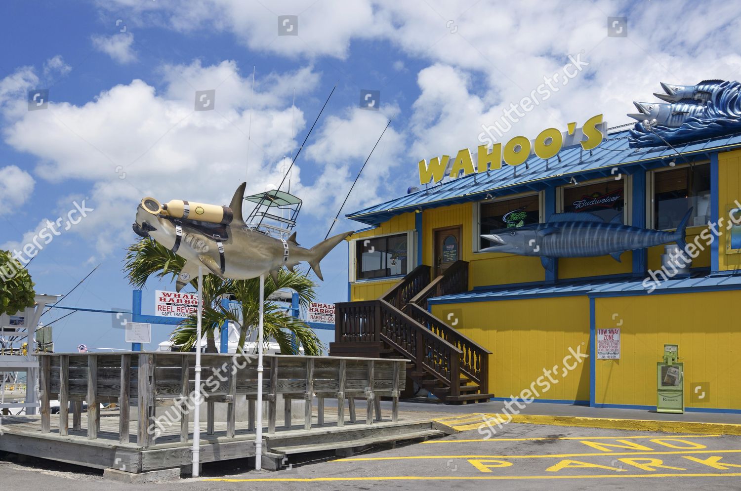 Dummy Hammerhead Shark Goggles Scuba Diving Editorial Stock Photo ...