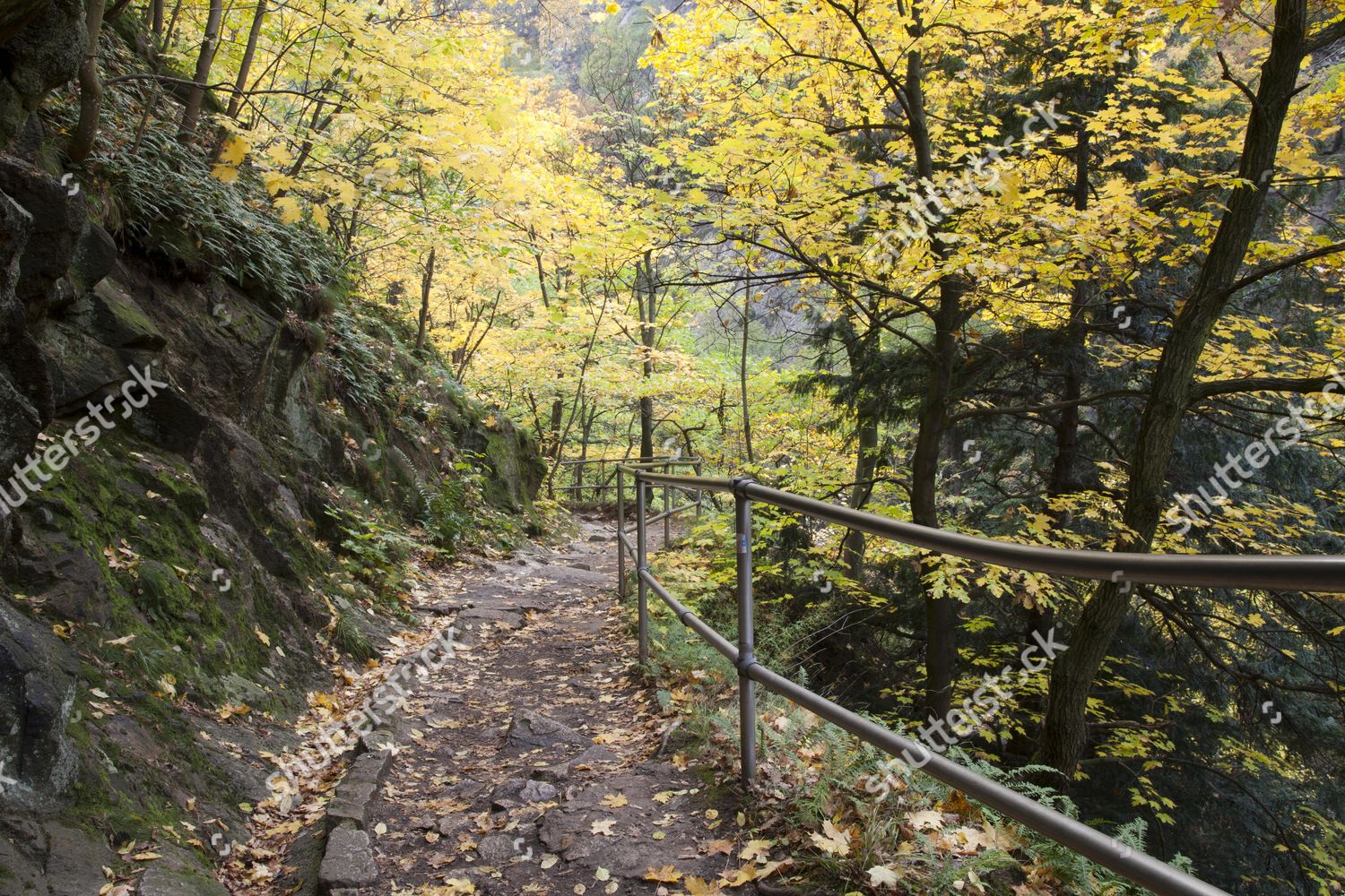 Goetheweg Trail Bodetal Bode Gorge Nature Editorial Stock Photo - Stock ...