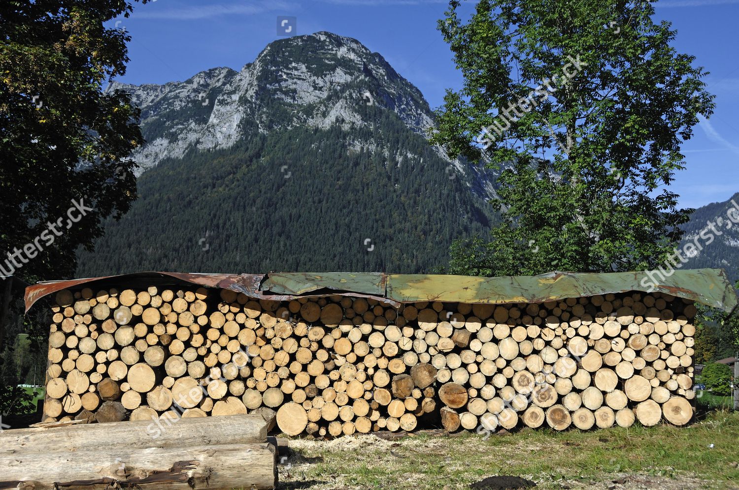 Sawn Logs 1 Metre Covered Stacked Editorial Stock Photo - Stock Image ...