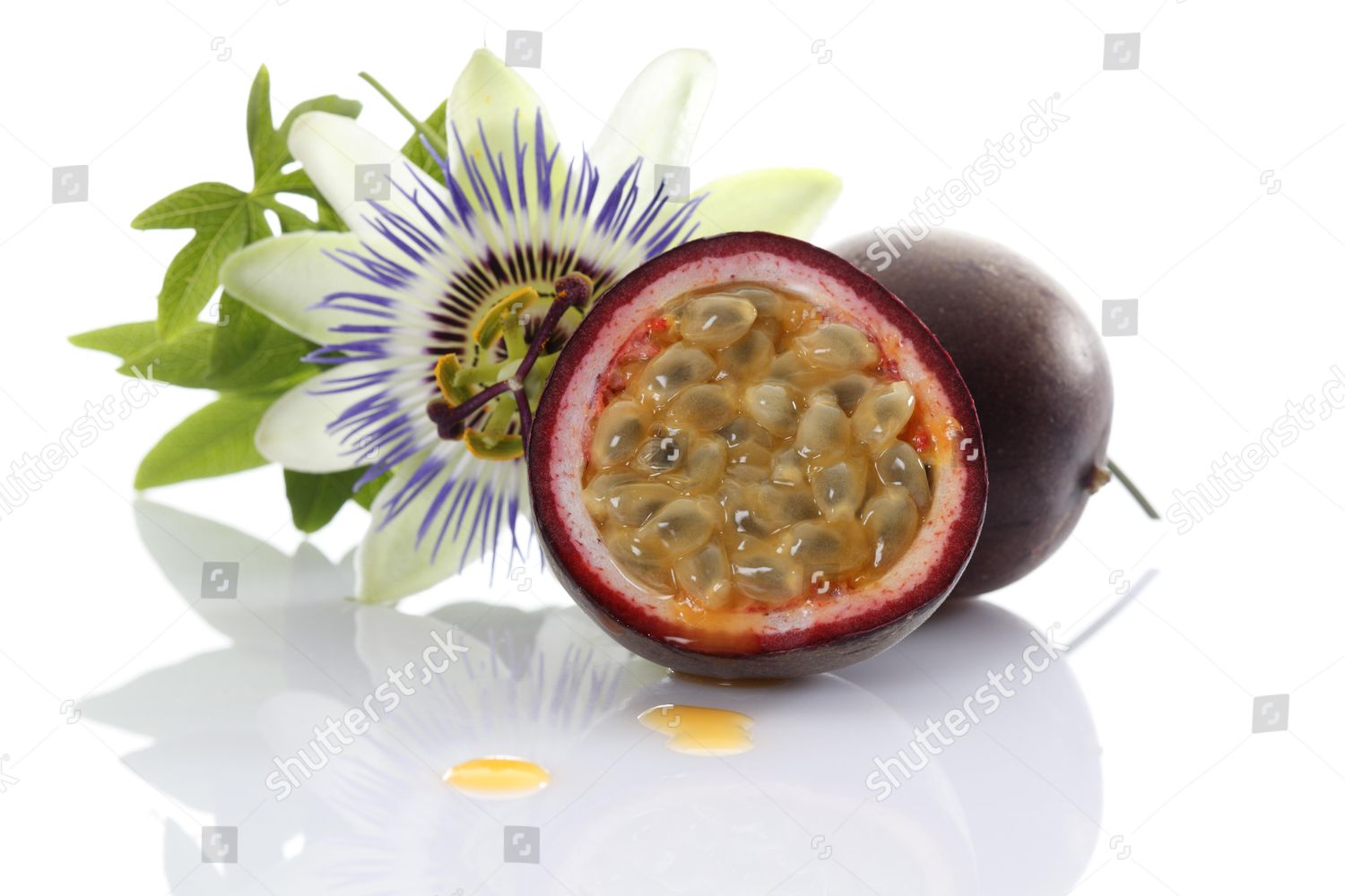 Passionfruit Maracuja Passiflora Edulis Flower Editorial Stock Photo ...