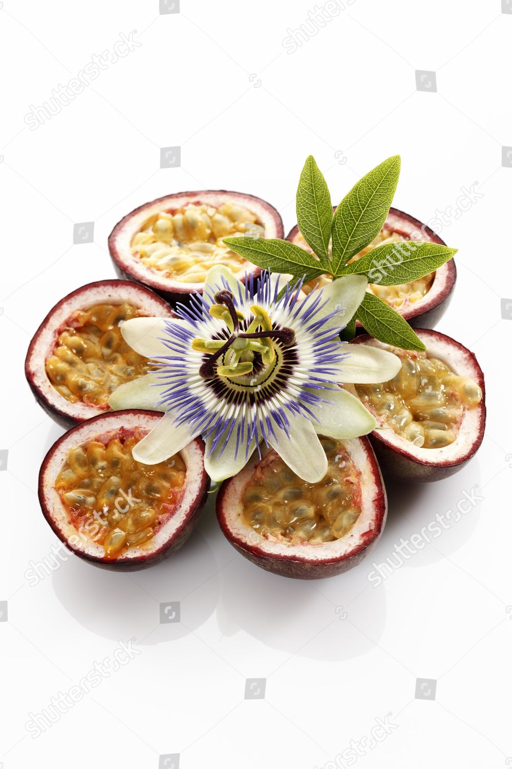 Passionfruit Maracuja Passiflora Edulis Flower Editorial Stock Photo ...