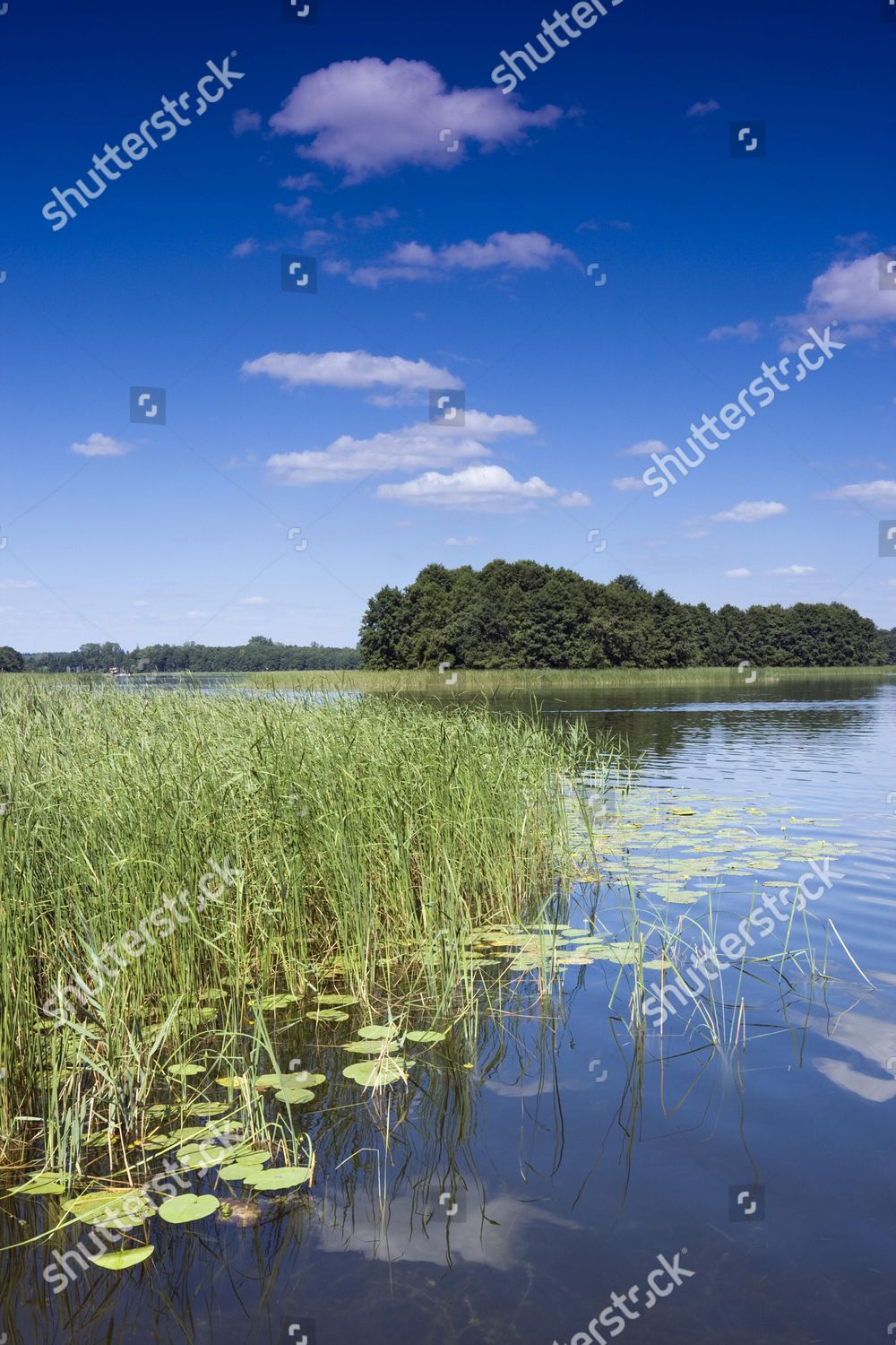 Wigry Lake Wigry Wigierski National Park Editorial Stock Photo - Stock ...