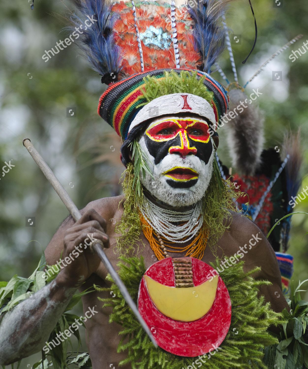 Tribal Performer Anglimp District Waghi Province Editorial Stock Photo ...