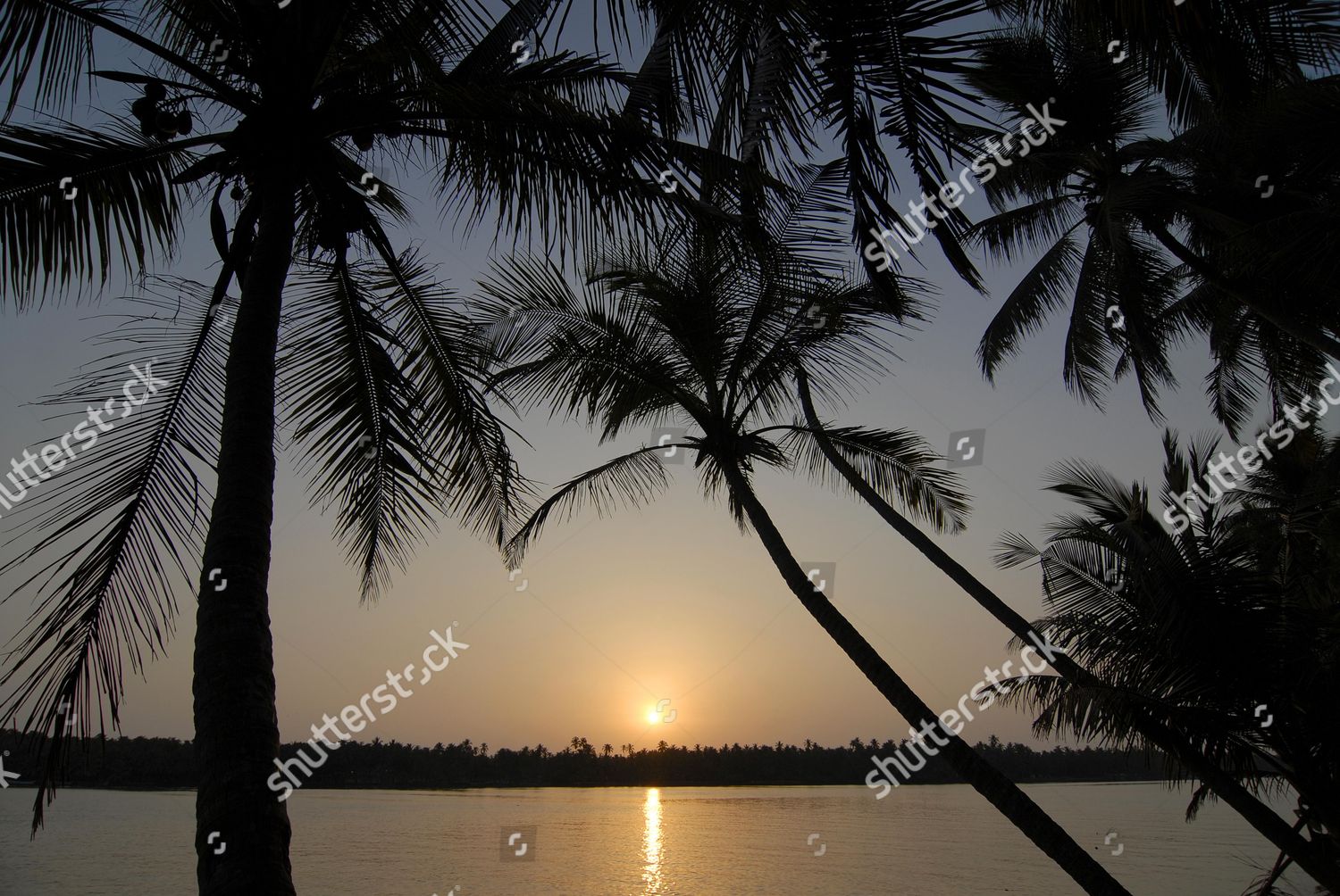 Sunset Palm Trees Backwaters Nileshwaram Malabar Editorial Stock Photo ...