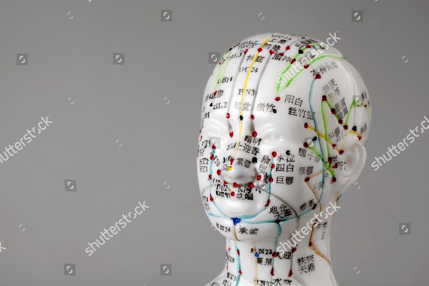 Acupuncture Model Marked Acupuncture Points Labeled Editorial Stock ...