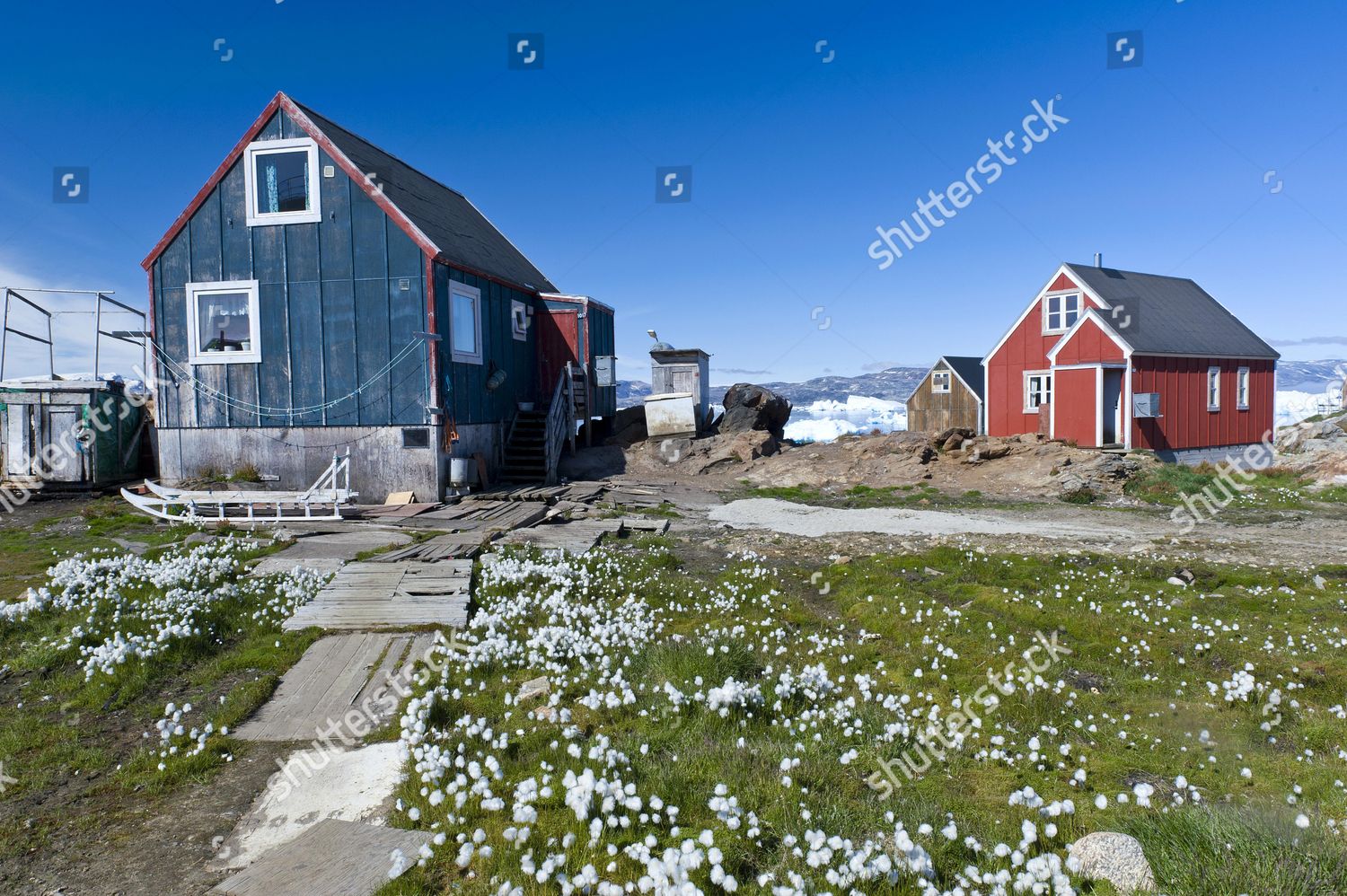 Inuit Houses Cotton Grass Inuit Settlement Editorial Stock Photo ...