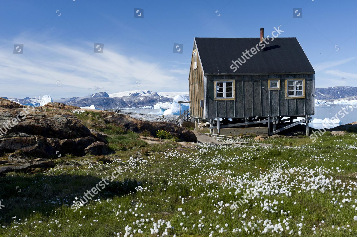 Inuit Houses Cotton Grass Inuit Settlement Editorial Stock Photo ...