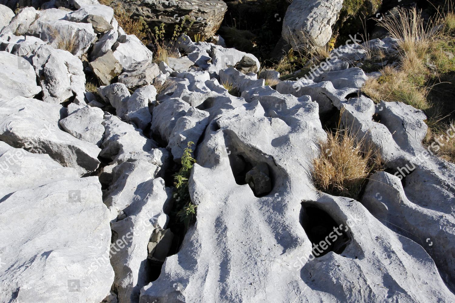Karst Landforms Gullies Geology Limestone Geological Editorial Stock Photo - Stock Image ...