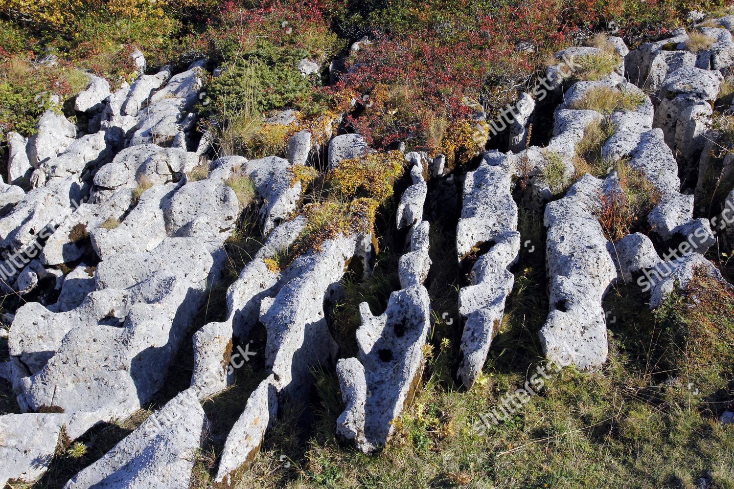 Karst Landforms Gullies Geology Limestone Geological Editorial Stock ...