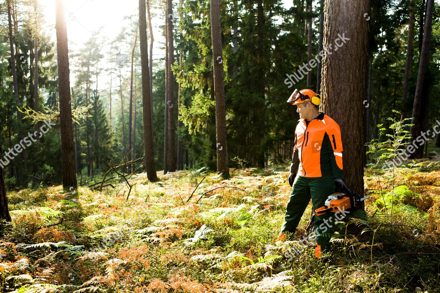 Model Released Woodcutter Work Forest Editorial Stock Photo - Stock ...