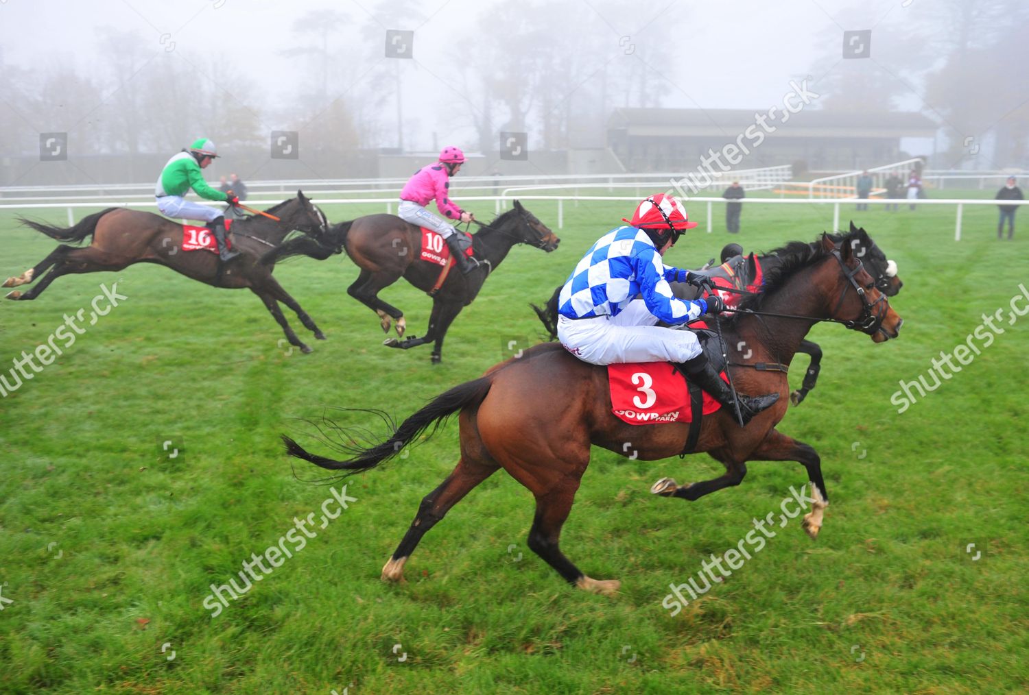 Gowran Park Champagne Pat Ambrose Mccurtin Editorial Stock Photo ...